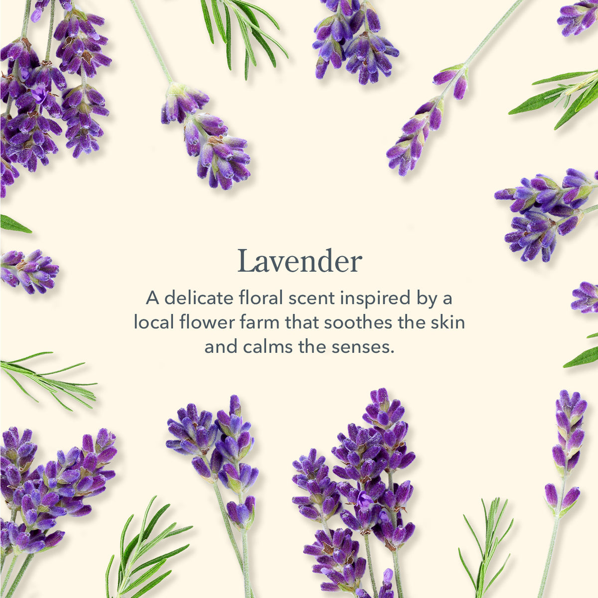 Lavender Goat Milk Hand Cream