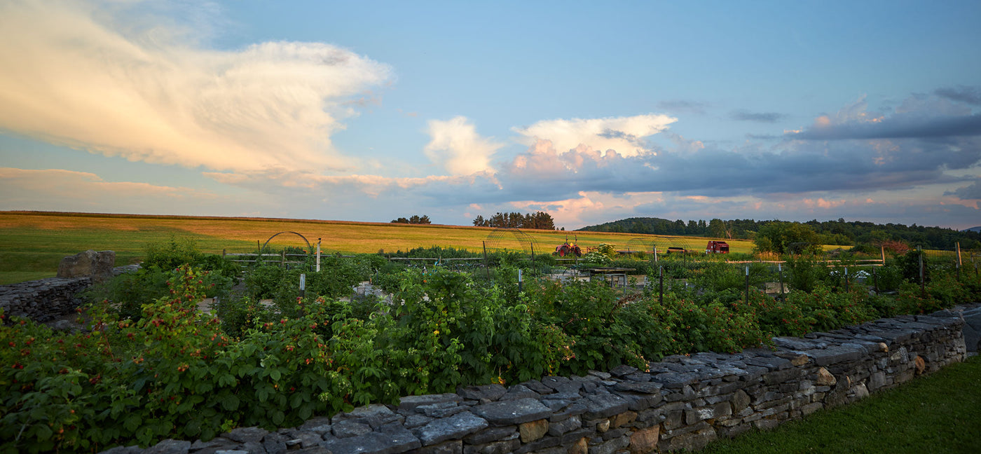 Beekman 1802 The Farm